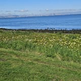 Bay Farm Island Loop Trail, California - 1,183 Reviews, Map | AllTrails