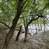 Torreya Trail, Florida - 438 Reviews, Map | AllTrails