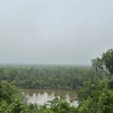 Torreya Trail, Florida - 438 Reviews, Map | AllTrails