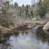 Beaver Brook Trail, Eastman Meadow Trail, and Maple Hill Ridge Loop ...
