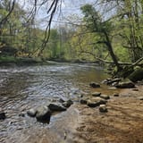 Hackfall Explorer, North Yorkshire, England - 428 Reviews, Map | AllTrails