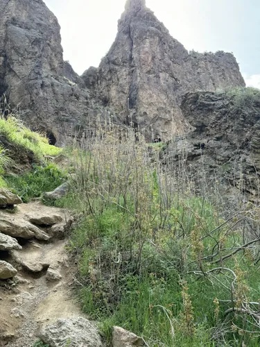 Best Dog Friendly Trails in Marsing | AllTrails