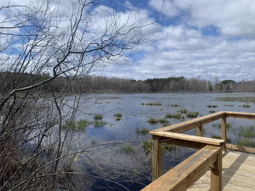 10 Best Easy Trails in Limerick Forest (South) | AllTrails