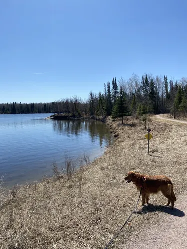 Best Views Trails in Pinawa's Trans Canada Trails | AllTrails