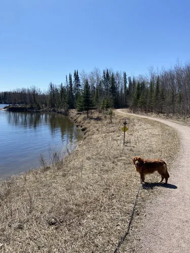 Best Views Trails in Pinawa's Trans Canada Trails | AllTrails