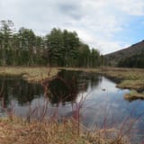Crab Pond Trail, New York - 30 Reviews, Map | AllTrails