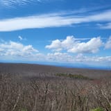 Mount Frissell via Mount Frissell Trail, Connecticut - 490 Reviews, Map ...