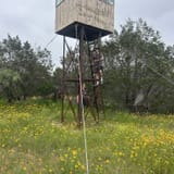 Texas Hill Country Overland Route, Texas - 505 Reviews, Map | AllTrails