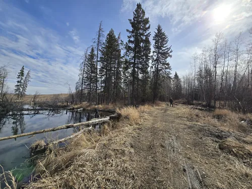 Best Walking Trails in Cooking Lake/Blackfoot Provincial Recreation ...