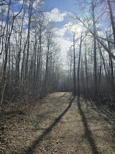 Best Walking Trails in Cooking Lake/Blackfoot Provincial Recreation ...