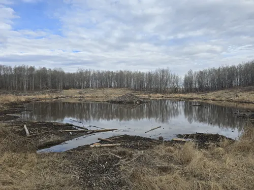 Best Walking Trails in Cooking Lake/Blackfoot Provincial Recreation ...