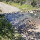 Grasslands Loop Trail, California - 1,717 Reviews, Map | AllTrails