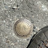 Lighthouse Point and Lottie Point Loop Trail, Washington - 641 Reviews ...