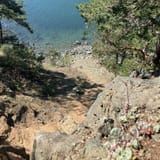 Lighthouse Point and Lottie Point Loop Trail, Washington - 641 Reviews ...