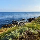 Terranea Discovery Trail, California - 1,452 Reviews, Map | AllTrails
