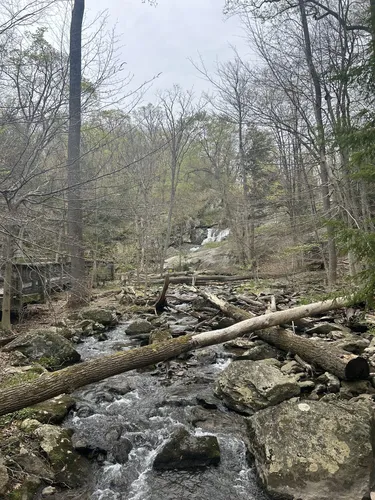 Best Walking Trails in Cunningham Falls State Park | AllTrails