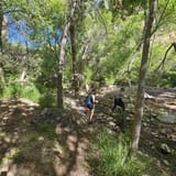 Picketpost Loop via Arizona Trail and L.O.S.T Trail, Arizona - 1,510 ...