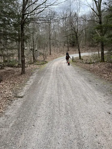 Best Easy Trails in Shenipsit State Forest | AllTrails