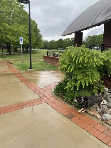 Best Hikes and Trails in Walker Y Elisha Park | AllTrails