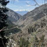 Lower Mill B North Fork Trail, Utah - 1,627 Reviews, Map | AllTrails