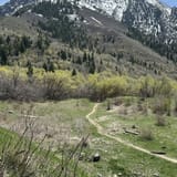 Neff's Canyon Loop, Utah - 2,464 Reviews, Map | AllTrails
