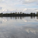 Kainui Lake Loop, Waikato, New Zealand - 99 Reviews, Map | AllTrails