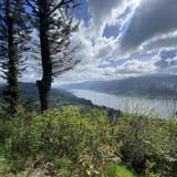 Cape Horn Loop Trail, Washington - 4,396 Reviews, Map | AllTrails