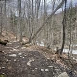 Champney Falls Trail, New Hampshire - 1,700 Reviews, Map | AllTrails