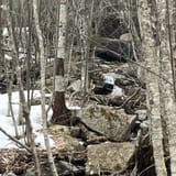 Champney Falls Trail, New Hampshire - 1,700 Reviews, Map | AllTrails