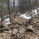 Champney Falls Trail, New Hampshire - 1,700 Reviews, Map | AllTrails