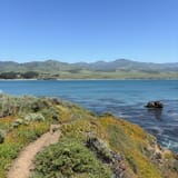 San Simeon Bay Trail, California - 1,325 Reviews, Map | AllTrails