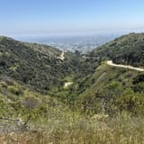 Runyon Canyon Trail, California - 8,117 Reviews, Map | AllTrails