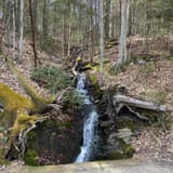 Hop River State Park Trail, Connecticut - 477 Reviews, Map | AllTrails