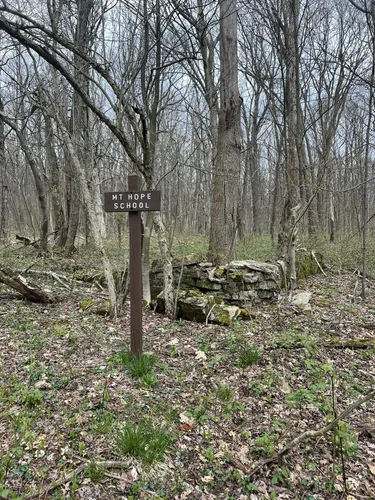 Best Snowshoeing Trails in Roaring Run Natural Area | AllTrails