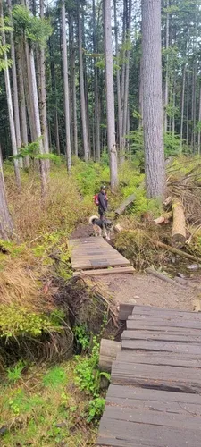 Best Hikes and Trails in Kanaka Creek Regional Park | AllTrails