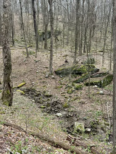 Best Snowshoeing Trails in Roaring Run Natural Area | AllTrails