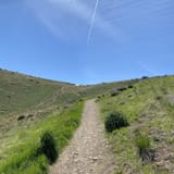 Tom Cooke and Steamboat Ditch Trail, Nevada - 647 Reviews, Map | AllTrails