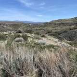 Tom Cooke and Steamboat Ditch Trail, Nevada - 647 Reviews, Map | AllTrails