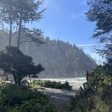Cape Falcon Trail, Oregon - 3,747 Reviews, Map | AllTrails