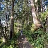 Cape Falcon Trail, Oregon - 3,747 Reviews, Map | AllTrails