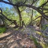 Picketpost Loop via Arizona Trail and L.O.S.T Trail, Arizona - 1,538 ...