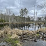 Mount Watatic and Nutting Hill via Wapack Trail, Massachusetts - 2,870 ...