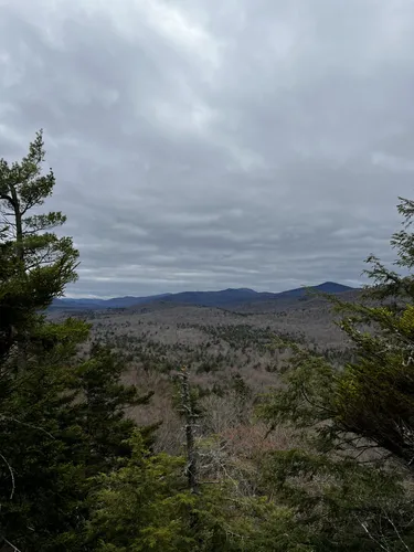 Best Forest Trails in Jessup River Wild Forest | AllTrails