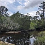 Nocatee Preserve Trail, Florida - 330 Reviews, Map | AllTrails