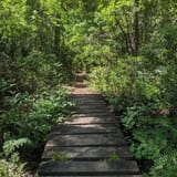 Nocatee Preserve Trail, Florida - 371 Reviews, Map | AllTrails