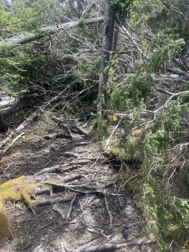 Best Hikes and Trails in Deer Isle | AllTrails