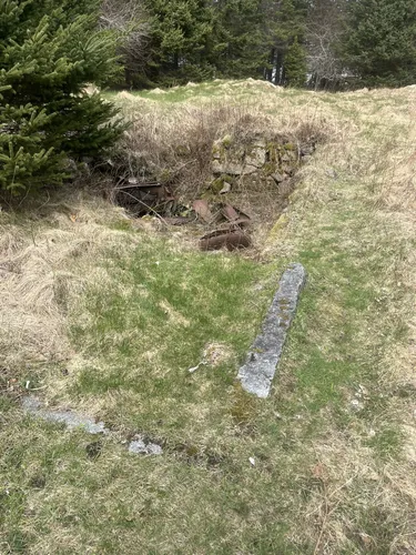 Best Hikes and Trails in Deer Isle | AllTrails