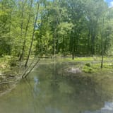 Honker Lake Trail, Kentucky - 1,007 Reviews, Map | AllTrails