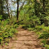 LBA Park Loop Trail, Washington - 1,279 Reviews, Map | AllTrails