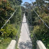 Seven Bridge Walk, California - 4,243 Reviews, Map | AllTrails